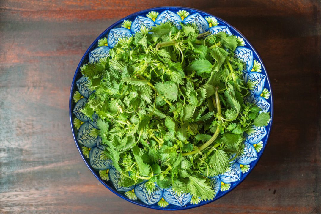 Nettle Risotto with Whipped Burrata - The Taste Edit