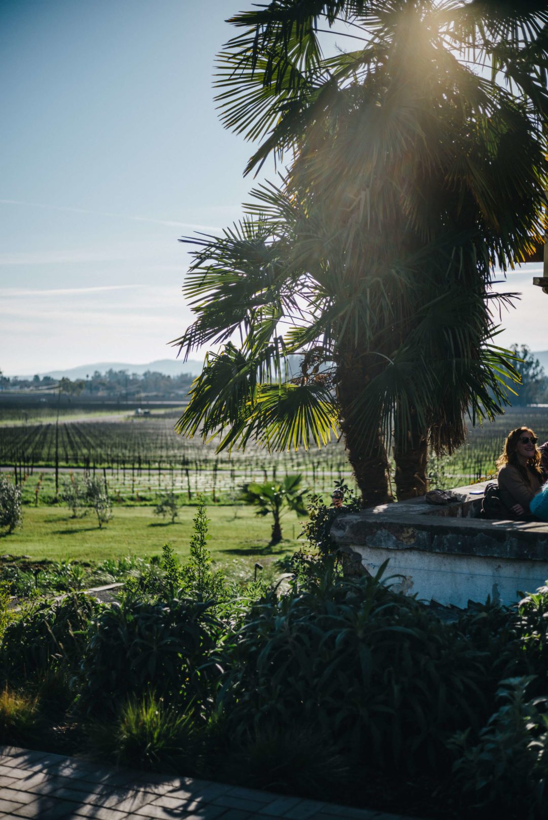 Scribe Winery - The Taste Edit