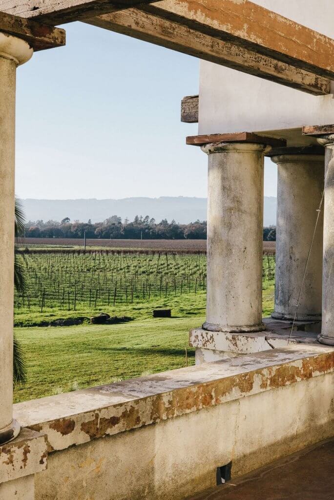 Scribe Winery - The Taste Edit