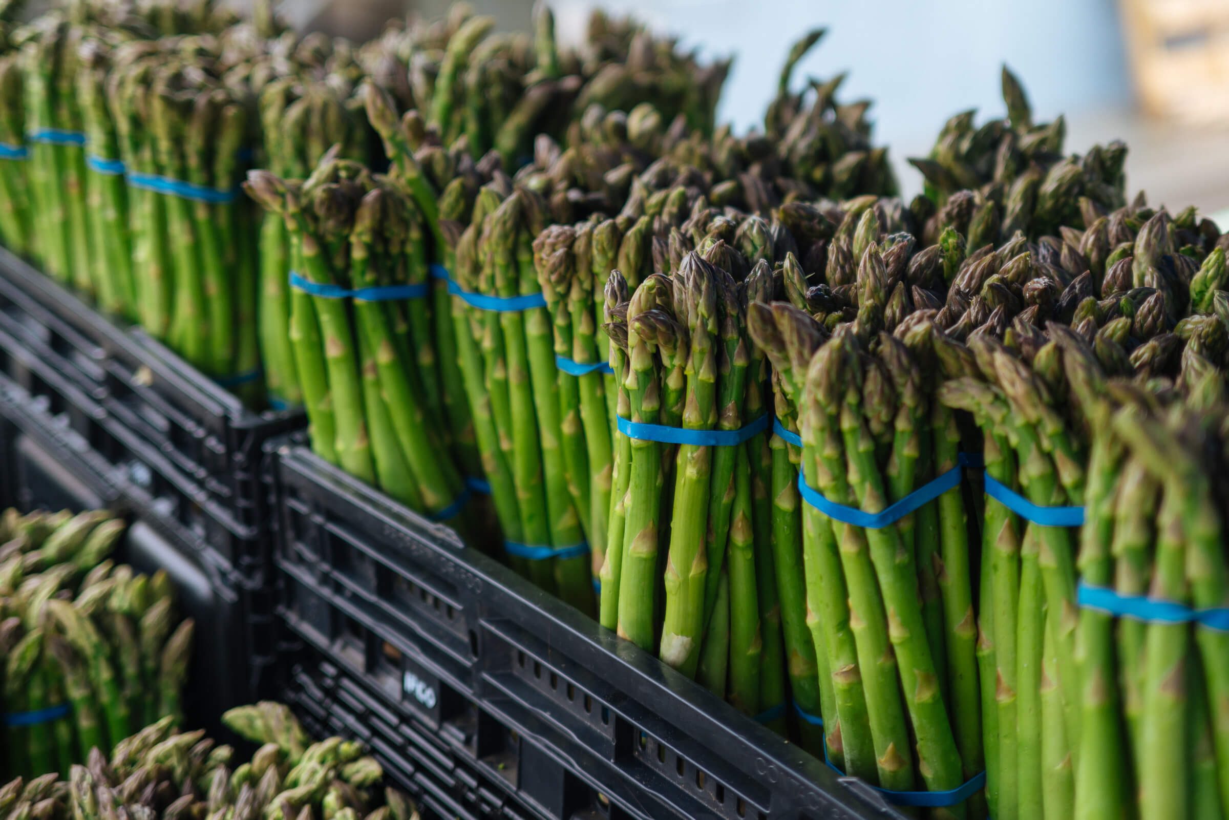 Asparagus: Does Size Matter? - The Taste Edit