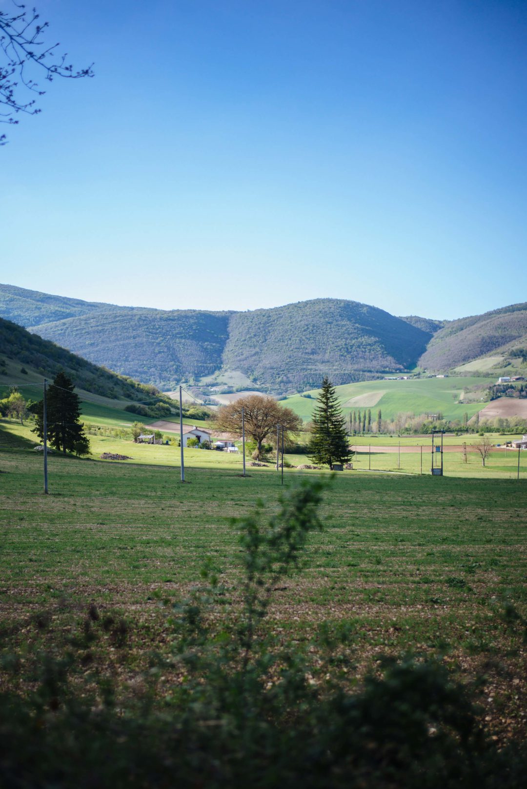 Palazzo Seneca, Umbria - The Taste Edit