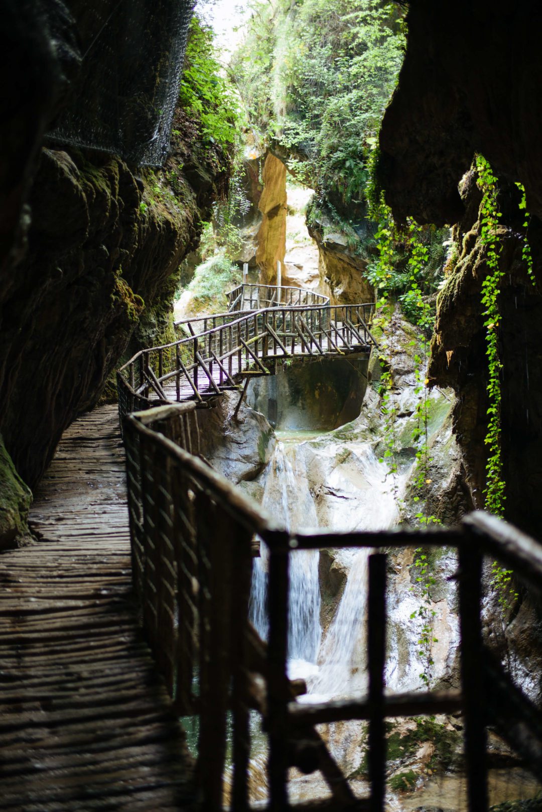 Guide to Veneto, Italy - The Taste Edit