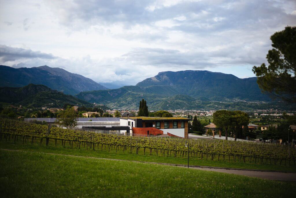 Le Vigne di Alice, Prosecco - The Taste Edit