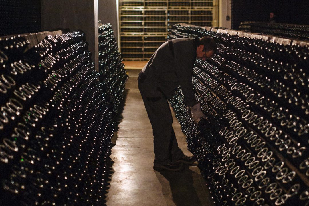 Ferrari Winery, Trento - The Taste Edit