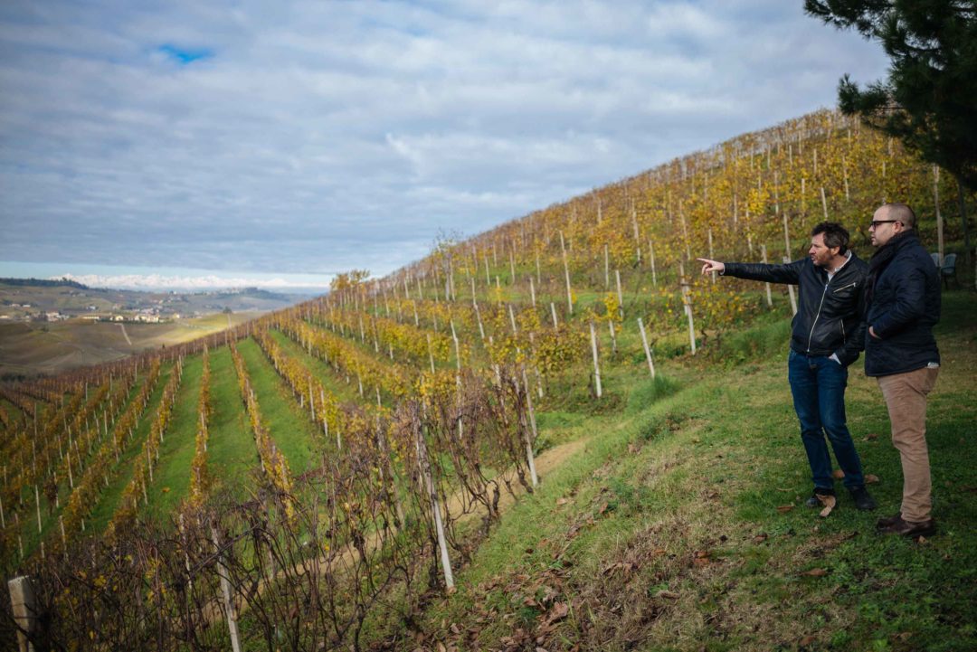 Cavallotto Winery - The Taste Edit
