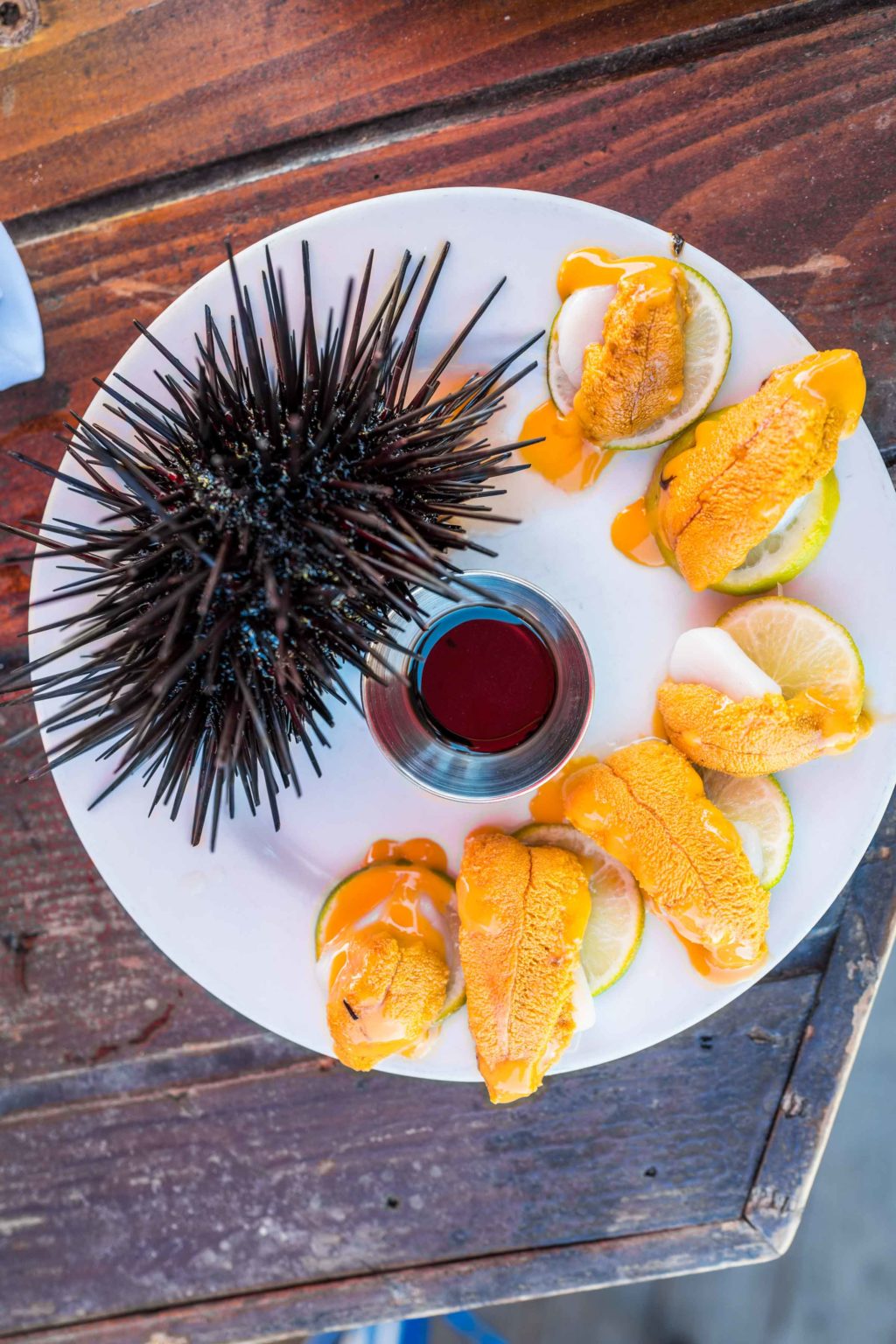 Santa Barbara Shellfish Company Restaurant - The Taste Edit