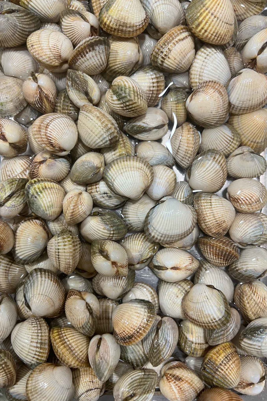 Simple Steamed Clams from Burgundy - The Taste Edit