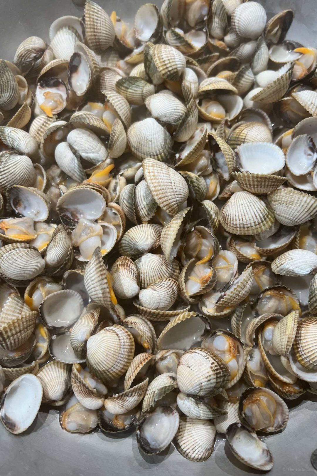 Simple Steamed Clams from Burgundy - The Taste Edit