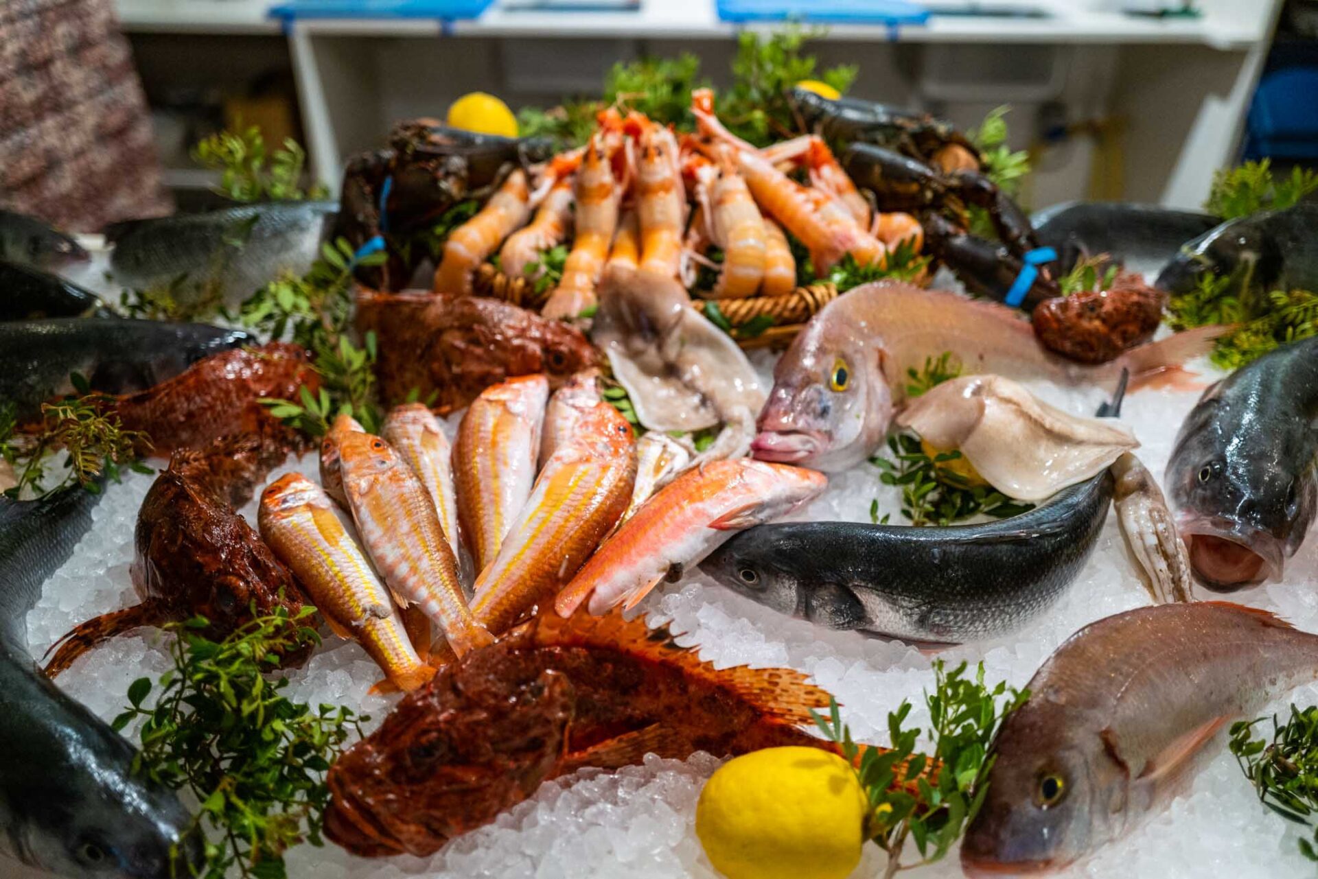 Tips for Ordering the Catch of the Day at Italian Restaurants - The ...