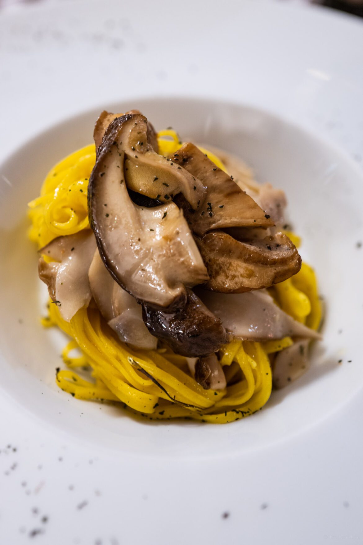 Where to Find the Best Truffles in Barolo - The Taste Edit