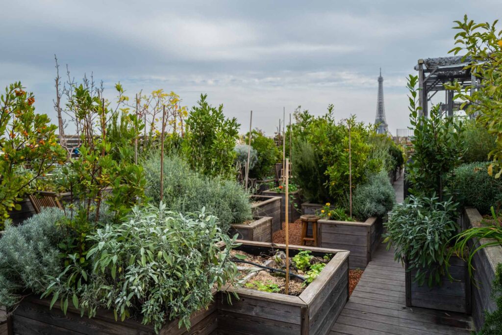 Modern Luxury in Paris 16e: Brach Paris - The Taste Edit