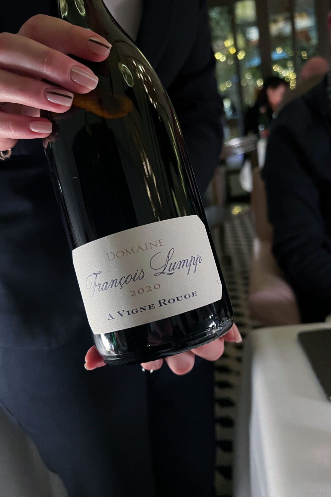 Italian Fine Dining at Il Carpaccio in the Heart of Paris - The Taste Edit